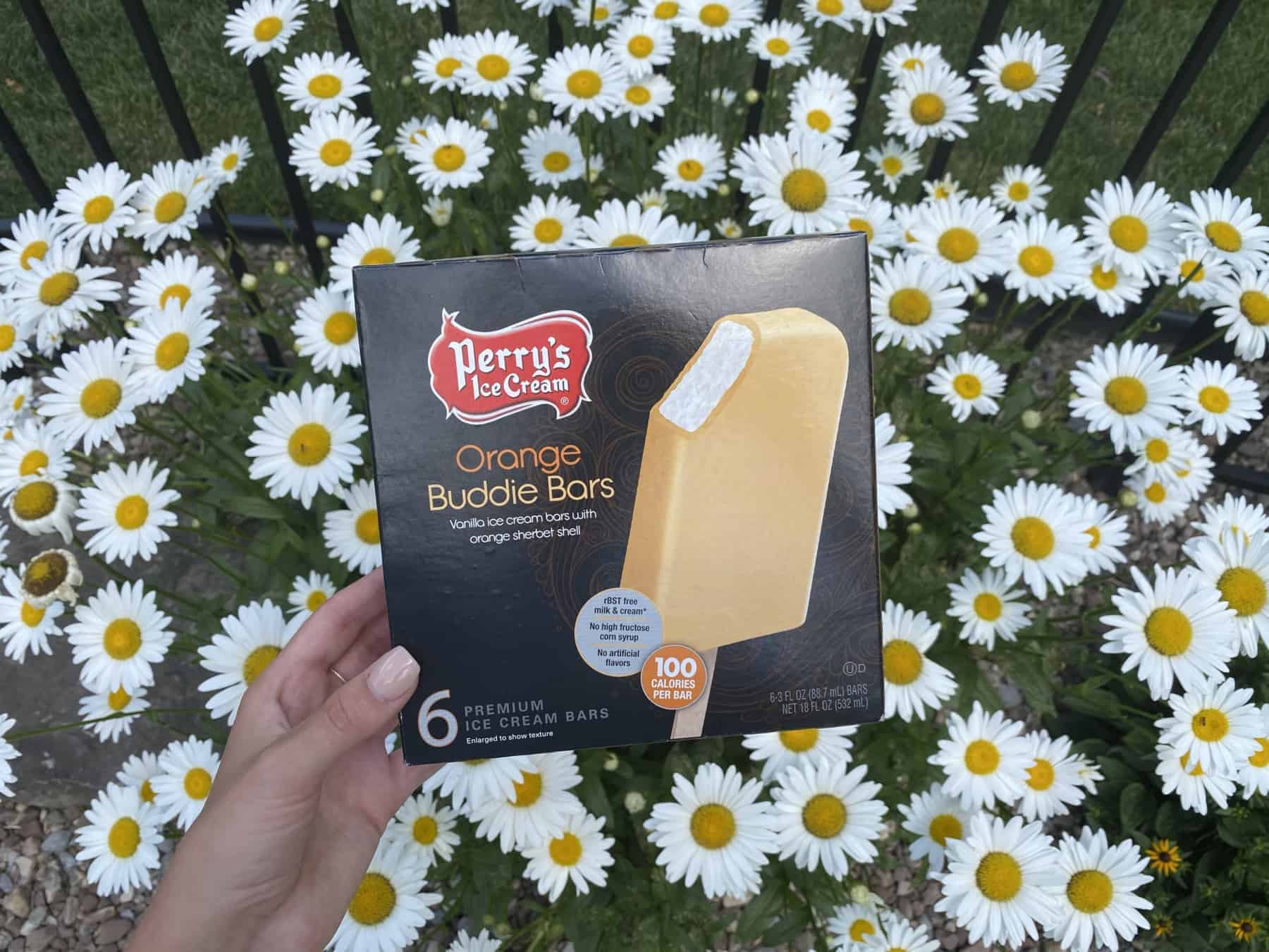 Introducing NEW Yellow Cake Sundae Crunch Bars! - Perry's Ice Cream